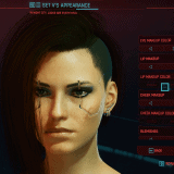 Nomad FemV Gamesave - Post Dex Meeting - Unlimited Money - Cyberpunk ...