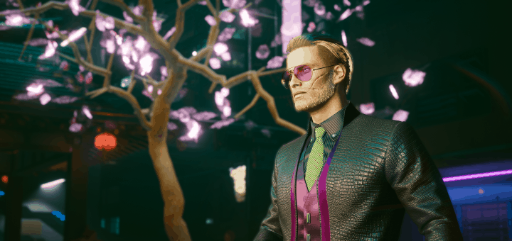 BD Cyberpunk 2077 Mods | CP 2077 BD Mods