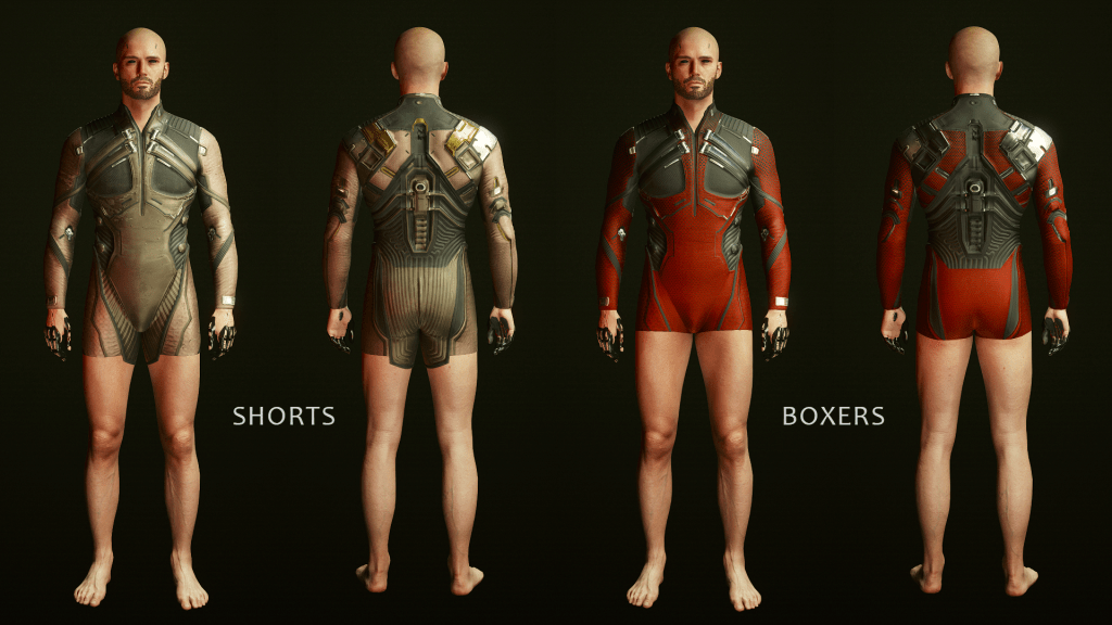 Legless Netrunners - Cyberpunk 2077 Mod Legless Netrunners - Cyberpunk 2077 Mod