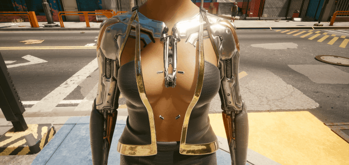 Cyberpunk 2077 Clothing Mods | Cyberpunk 2077 Armour Mods